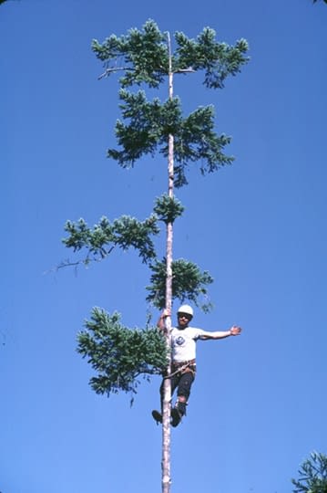 Fundamentals of General Tree Work - beranekpublications.com