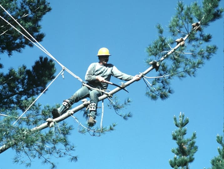Fundamentals of General Tree Work - beranekpublications.com