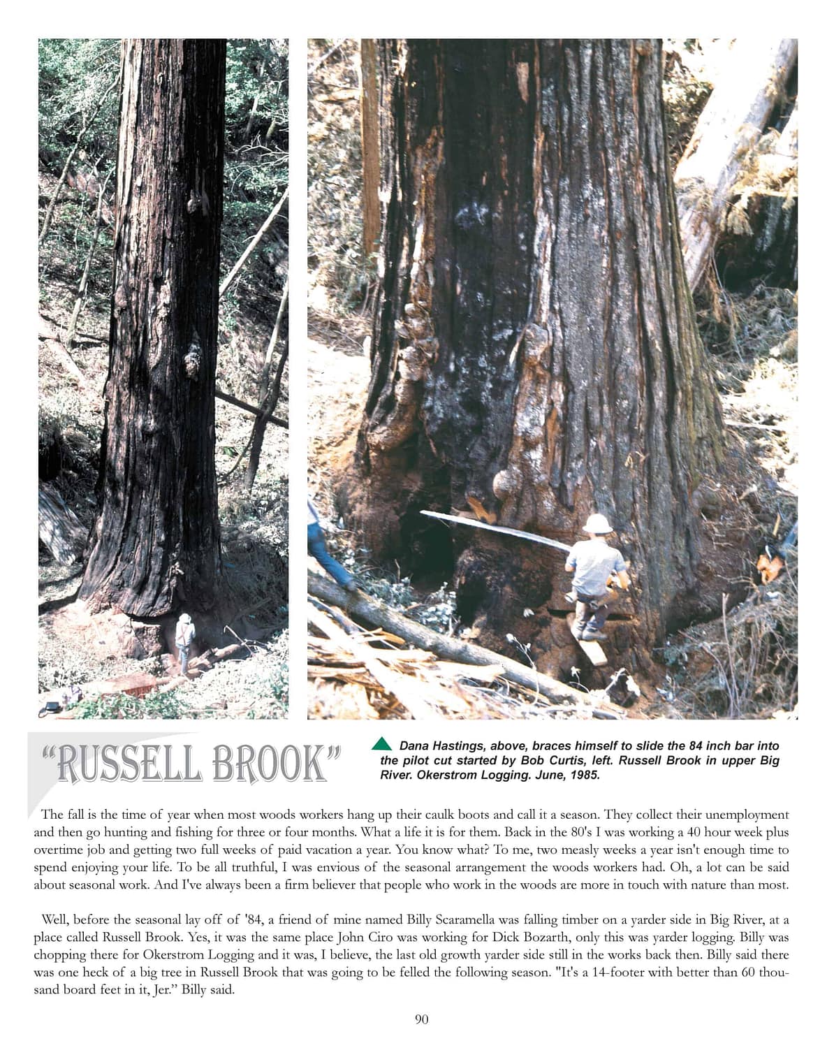 High Climbers & Timber Fallers - beranekpublications.com