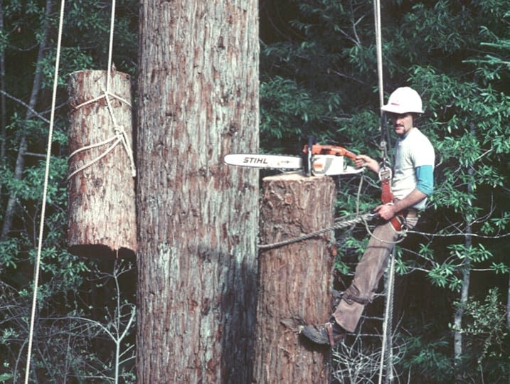 Fundamentals of General Tree Work - beranekpublications.com