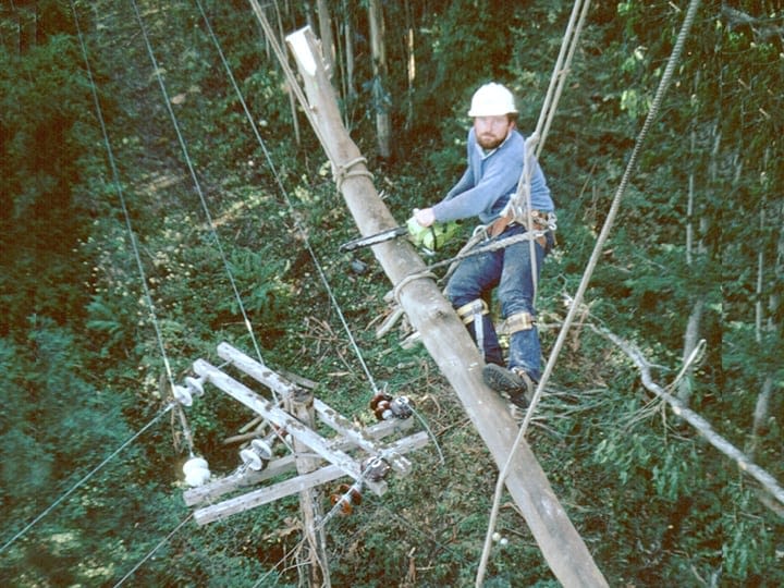 Fundamentals of General Tree Work - beranekpublications.com