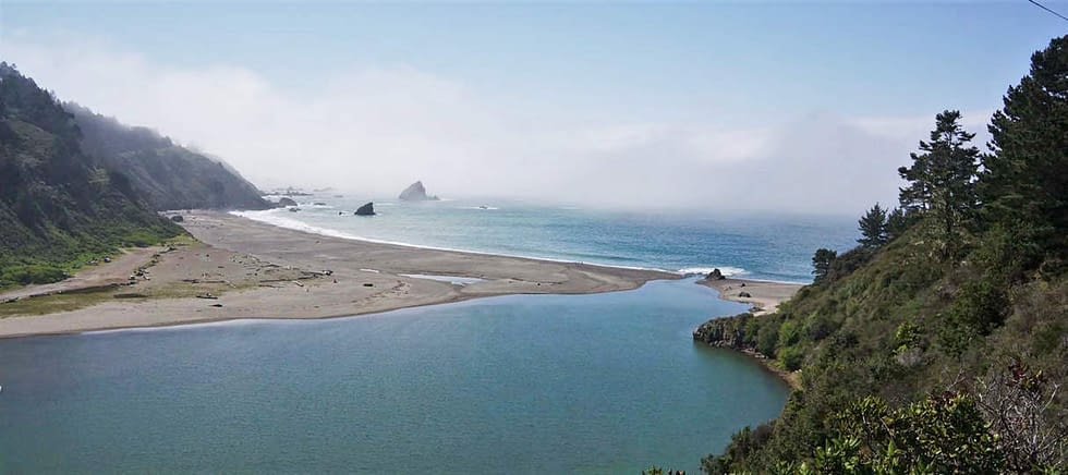 Navarro Redwoods State Park - beranekpublications.com