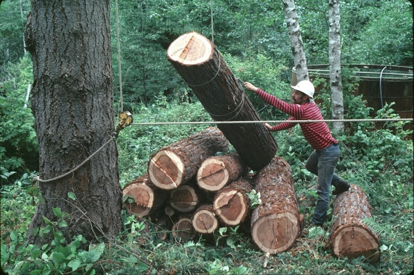 Fundamentals of General Tree Work - beranekpublications.com