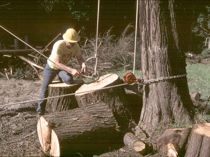 Fundamentals of General Tree Work - beranekpublications.com