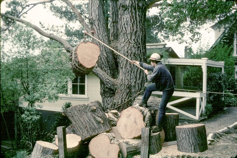 Fundamentals of General Tree Work - beranekpublications.com