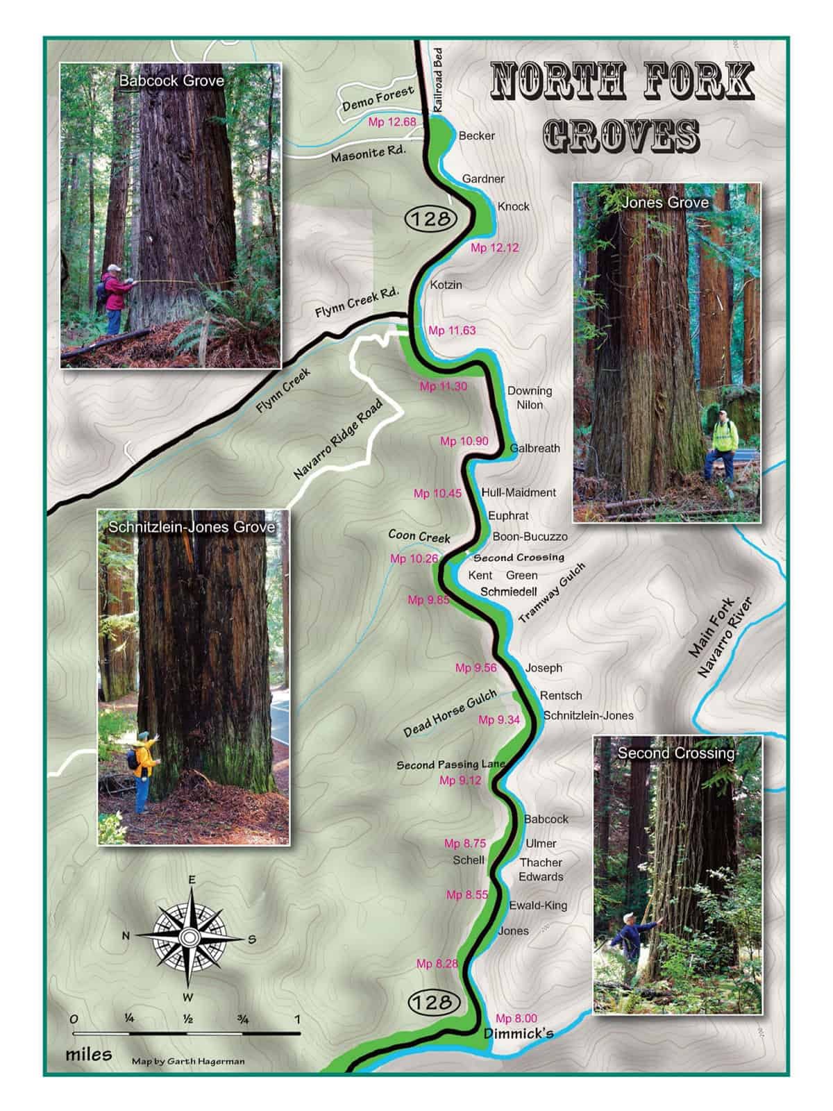 Navarro Redwoods State Park - beranekpublications.com