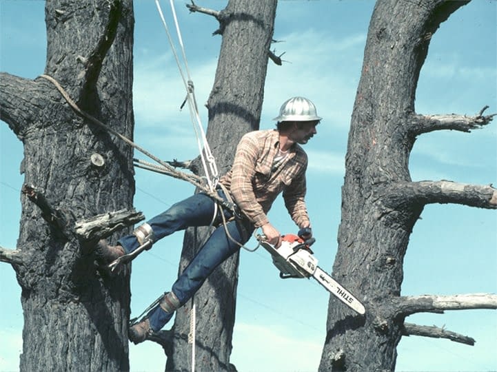 Fundamentals of General Tree Work - beranekpublications.com